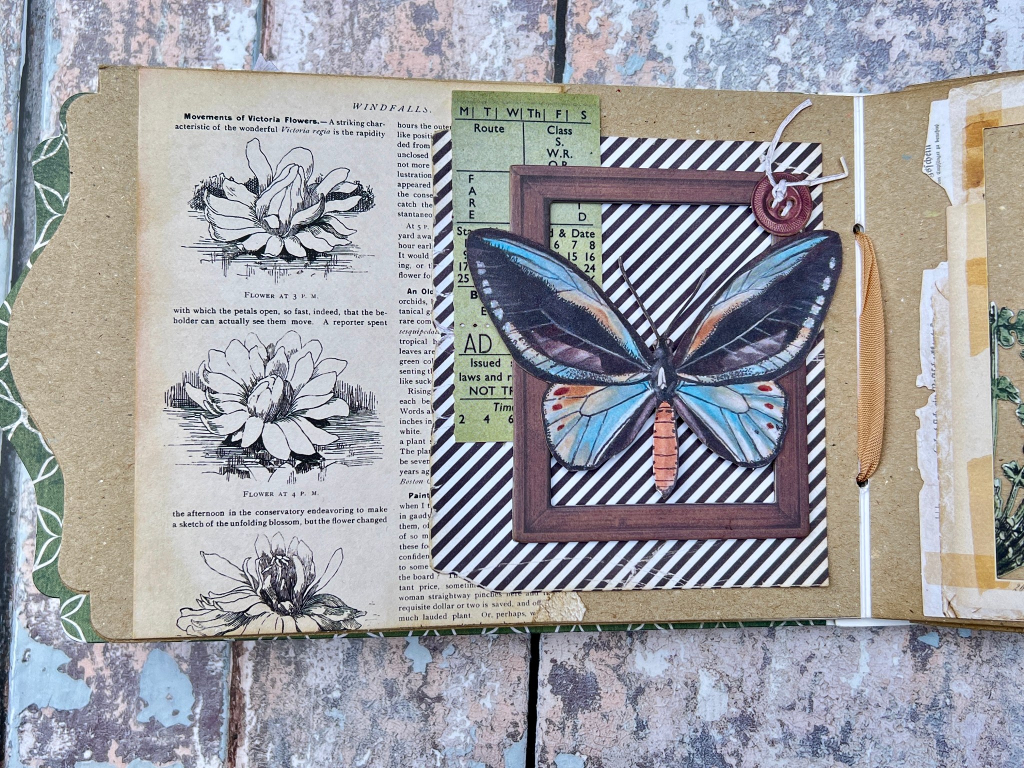 Sizzix Eileen Hull Chapter 3 – Field Notes Journal – Sharon Curtis