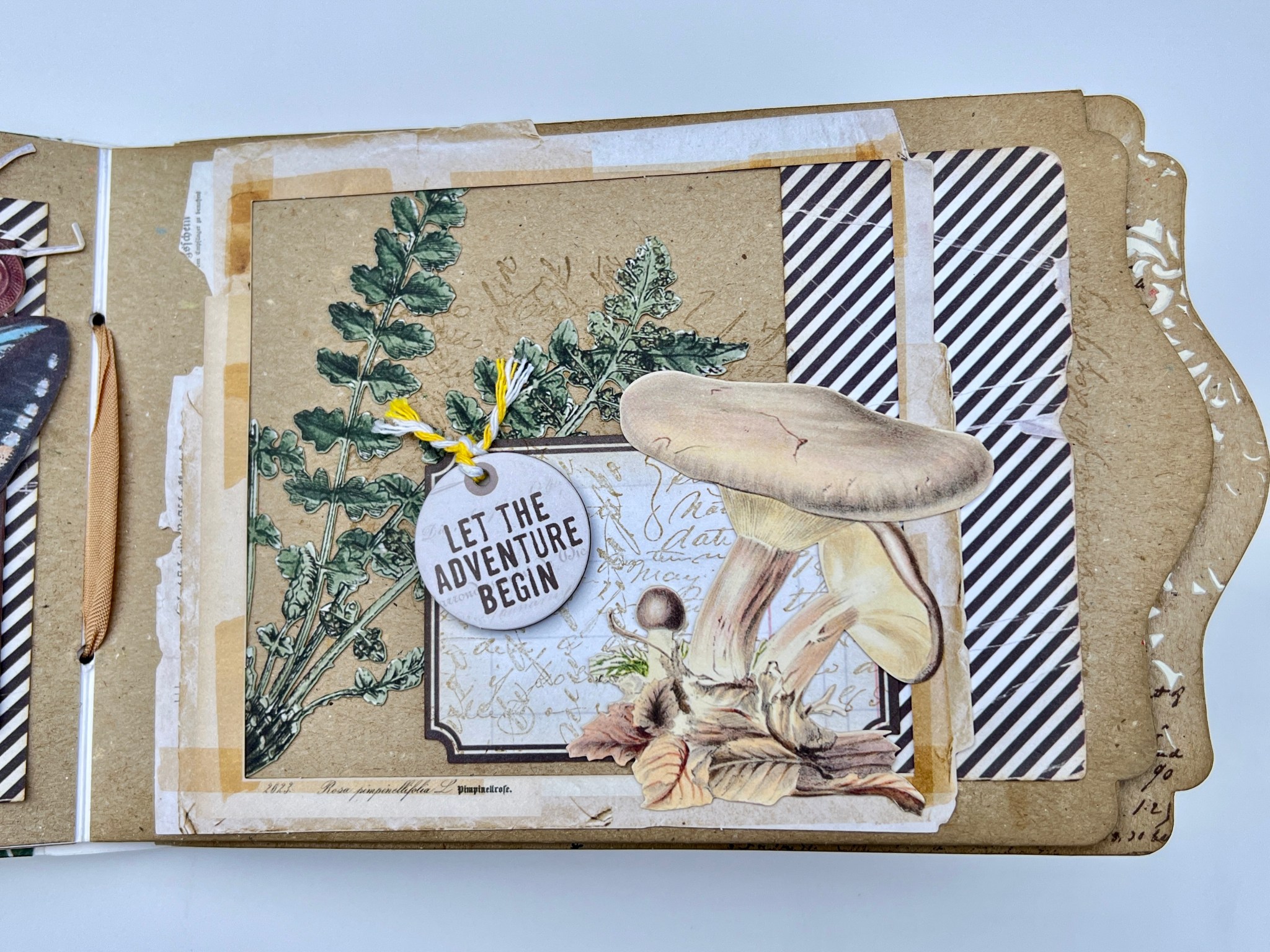 Sizzix Eileen Hull Chapter 3 – Field Notes Journal – Sharon Curtis