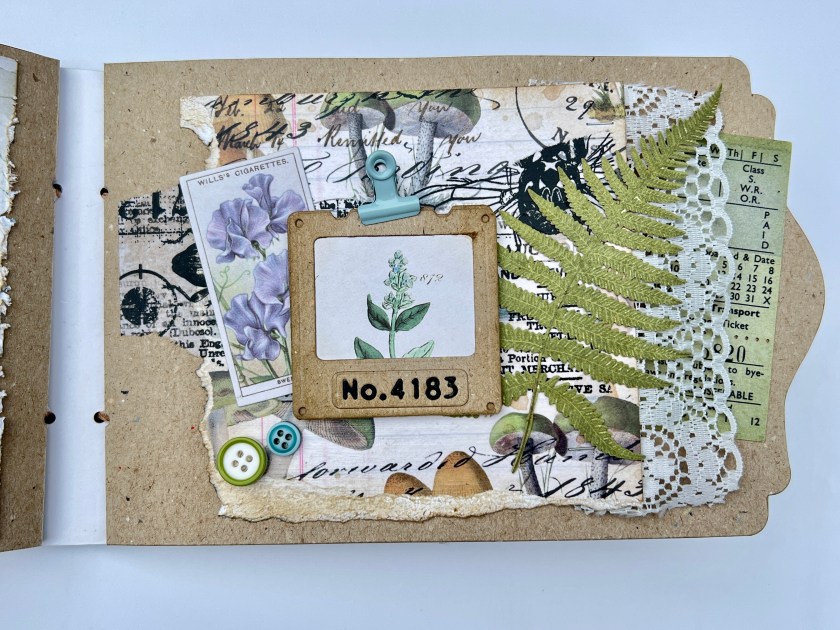 Sizzix Eileen Hull Chapter 3 – Field Notes Journal – Sharon Curtis